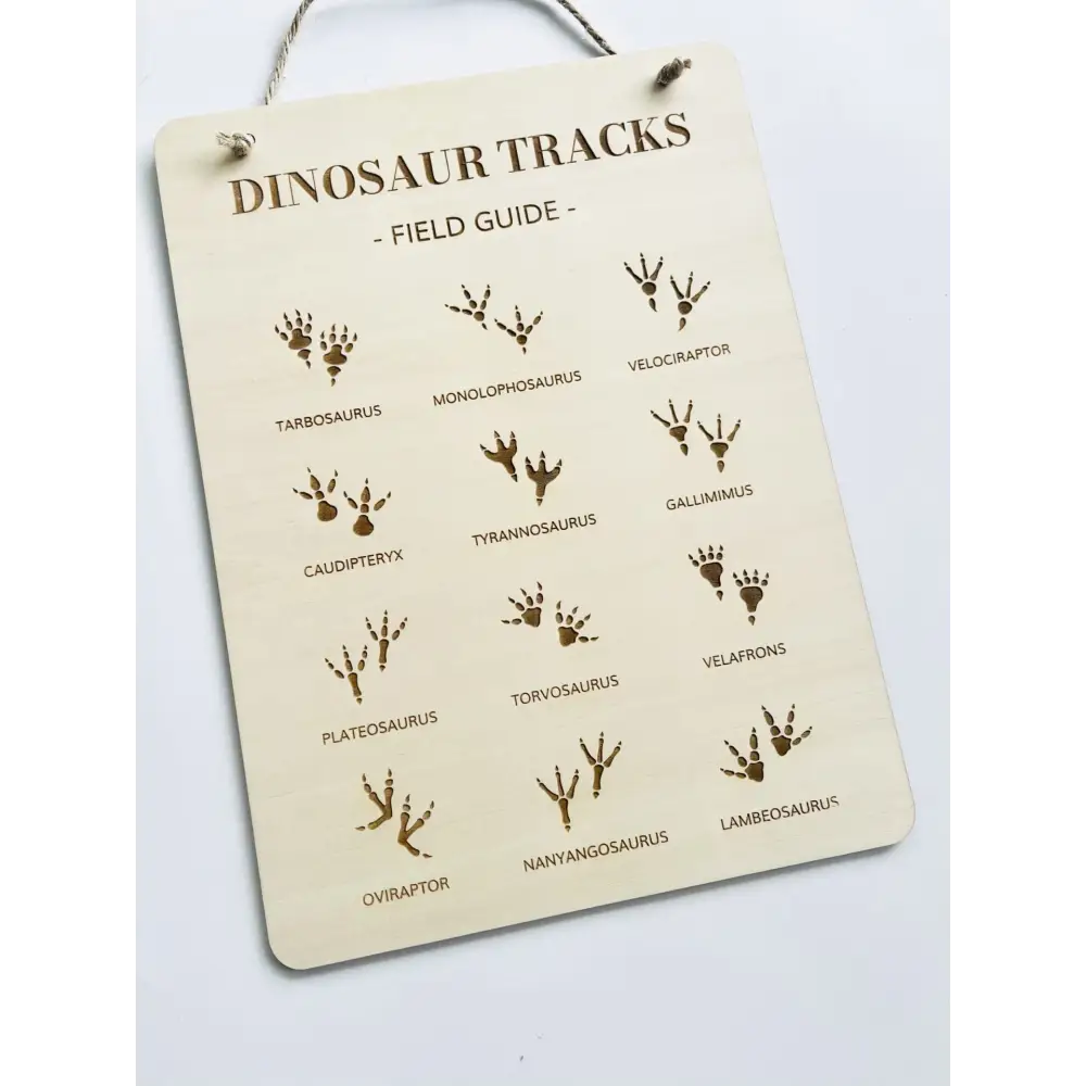 Dino Tracks Sign